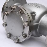 China Ductile Iron Foot Check Valve for Quick Fittings Round Head Code Female Thread Flapper for sale