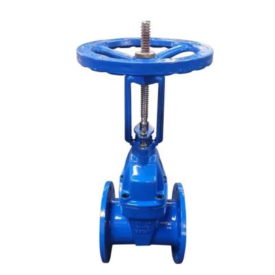China Durable Stainless Steel 301/304/316 Gate Valve with Extension Spindle and Rising Stem for sale