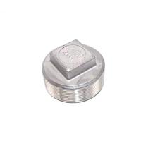 China Customized Support 304 Stainless Steel Square Head Cored Plug Class 150 2'' NPT Male for sale
