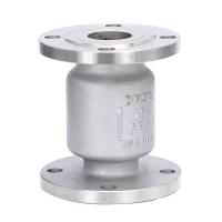 China ANSI Stainless Steel Swing Non Return Check Valve DN 250mm Pn 16atm L 115 mm Standard for sale