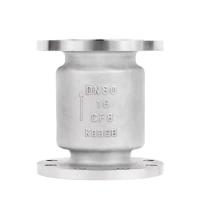 China ANSI Stainless Steel Swing Non Return Check Valve DN 250mm Pn 16atm L 115 mm Standard for sale