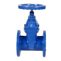 China Cylindrical Head Code Custom Casting Steel Manual Valve Ductile Iron Gate Valve for sale