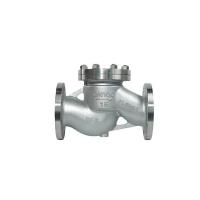 China Flanged Lift Check Valve Silver Stainless Steel 304 316 316L PN16 PN25 PN40 PN64 PN100 for sale