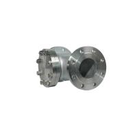 China Flanged Lift Check Valve Silver Stainless Steel 304 316 316L PN16 PN25 PN40 PN64 PN100 for sale