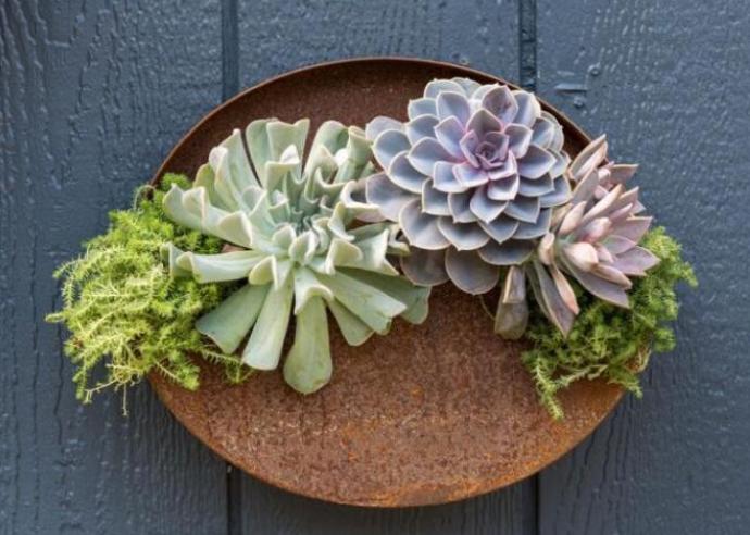 Home Metal Wall Decoration Corten Steel Half Round Wall Hanging Flower Pots