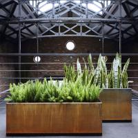 China Laser Cut Rust Finish Corten Steel Planter for sale