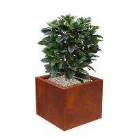 China Customized Outdoor Large Planter Box Rectangular Corten Steel Flower Pots for sale