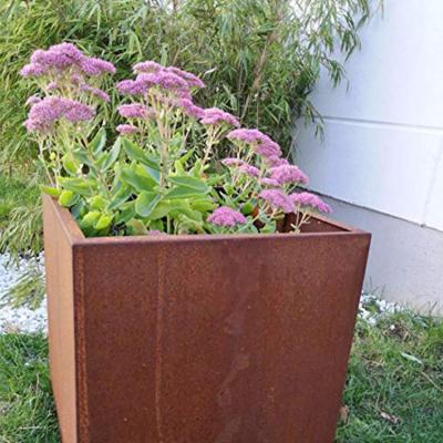 China Rectangular Corten Steel Planter Metal Stand Flower Pot for sale