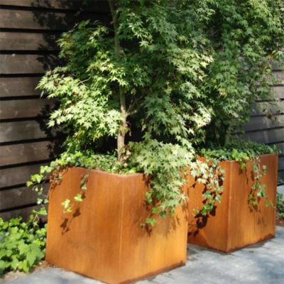 China Commercial Rusty Corten Steel Outdoor Metal Planter Weather Resistant for sale