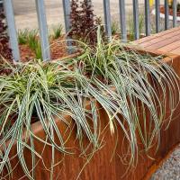 China 600mm 700mm 1000mm Outdoor Rectangular Tin Planter For Tree Planting for sale