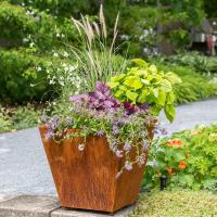 China Laser Cut Corten Steel Large Metal Planters Outdoor Customized for sale