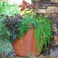 China OEM ODM Raised Rectangular Metal Planter Box Corten Steel for sale