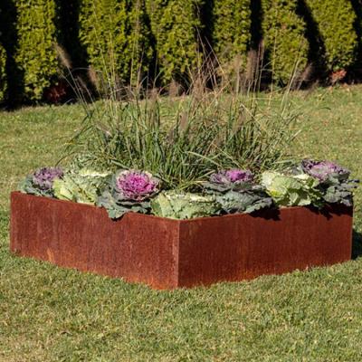 China OEM ODM Corten Steel Raised Beds Metal Raised Vegetable Beds corrosion proof for sale