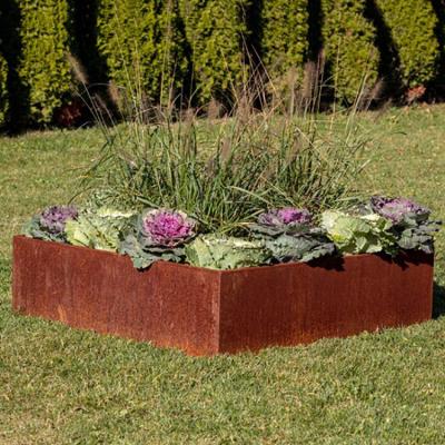 China OEM ODM Patio Balcony Outdoor Metal Raised Garden Bed For Vegetable  Rustproof for sale