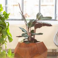 China Laser Cut Corten Steel Planter Garden Outdoor Flower Pot for sale