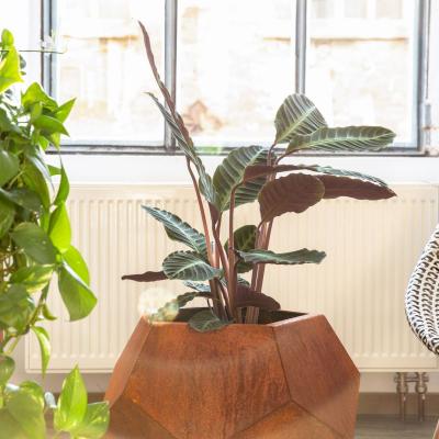 China Laser Cut Corten Steel Planter Garden Outdoor Flower Pot for sale
