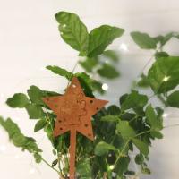 China Star Shaped Weathering Steel Metal Garden Ornaments Christmas Decoration for sale