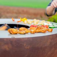 China Corten Steel Garden Antique Fire Pit Rust BBQ Pit 31.5