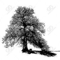 China Corten Steel Rusted Lifelike Outdoor Metal Tree Sculpture Decorative for sale