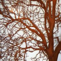 China Customizable Tree Shaped Corten Steel Sculpture For Park Decoration for sale