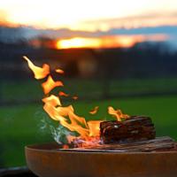 China Patio Outdoor Garden Corten Steel Fire Bowl Pit Large Rust Heavy Wood Burning for sale