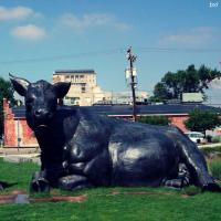 China OEM Welcome Gnee Garden Outdoor Bronze Sculpture Life Size Bronze Sculpture for sale