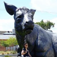 China OEM Welcome Gnee Garden Outdoor Bronze Sculpture Life Size Bronze Sculpture for sale