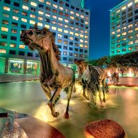 China Hand Carving Horse Lifelike Outdoor Bronze Sculpture Garden Decoration for sale