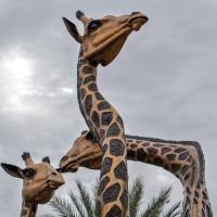 China Gnee Garden Life Size Large Outdoor Bronze Sculpture Giraffe Shaped Customized for sale