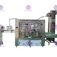 China 4000BPH Plastic Bottle Mineral Water Production Line Monoblock 2L Rinsing Filling Capping for sale