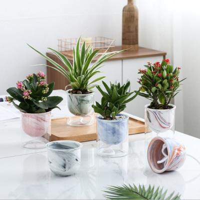 China Creative Home Automatic Water Absorption Vase for sale