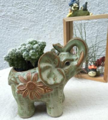 China Succulent Creative Elephant Animals Plant Flowerpots for sale