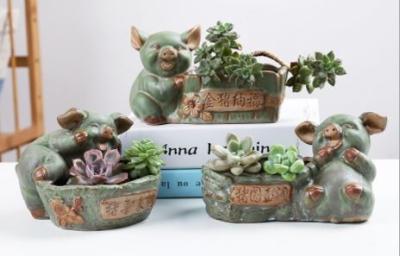 China Succulent Creative Animals Cute Pig Plant Flowerpots for sale