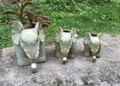 China Succulent Creative Animals Wild Elephant Plant Flowerpots for sale