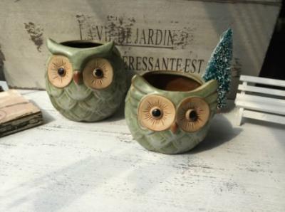 China Succulent Creative Animals Owl Plant Flowerpots for sale