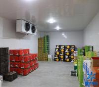 China 0 To -40℃  Frozen Seafood Freezer Cold Room With 100mm 150mm PU Panel for sale