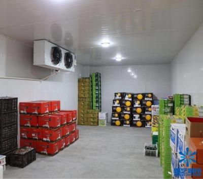 China 0 To -40℃  Frozen Seafood Freezer Cold Room With 100mm 150mm PU Panel for sale