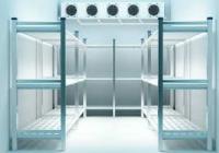 China Low Temperature Quick Freezer Chiller Cold Room Fish Cold Storage Room For Meat Fish for sale