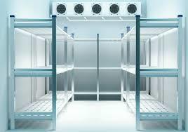 China Low Temperature Quick Freezer Chiller Cold Room Fish Cold Storage Room For Meat Fish for sale