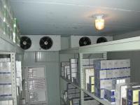 China Selectable Voltage 60Hz Blast Chiller Freezer Cold Room Storing Meat And Fish for sale
