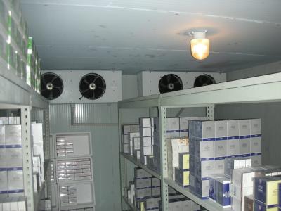 China Selectable Voltage 60Hz Blast Chiller Freezer Cold Room Storing Meat And Fish for sale