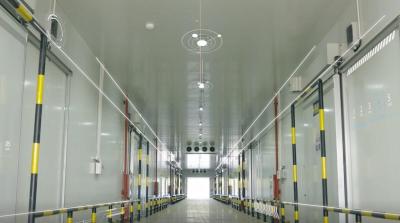 China Vegetable R404A Freezer Chiller Cold Room  Storage Chiller 220V 380V for sale