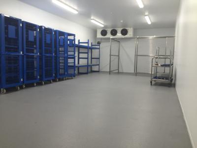 China 380V ISO Deep Freezer Cold Room  Refrigeration Unit Freezer Storage Room For Fish Fruit for sale