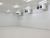 China Deep Freezer Cold Room  Refrigeration Unit Freezer Storage Room For Milk for sale
