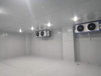 China Deep Freezer Cold Room  Refrigeration Unit Freezer Storage Room For Banana for sale