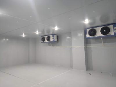China Deep Freezer Cold Room  Refrigeration Unit Freezer Storage Room For Banana for sale