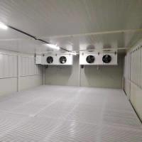 China Customized Blaster Freezer Cold Room Customized Industrial Freezer Room for sale