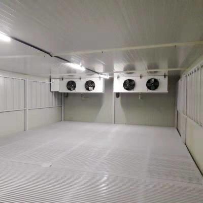 China Customized Blaster Freezer Cold Room Customized Industrial Freezer Room for sale