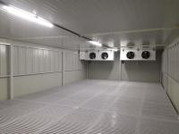 China 220V 50Hz Freezer Cold Room With R404a Refrigerant For Galvanized Color Steel Plate for sale