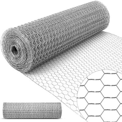 China Poultry Netting 12